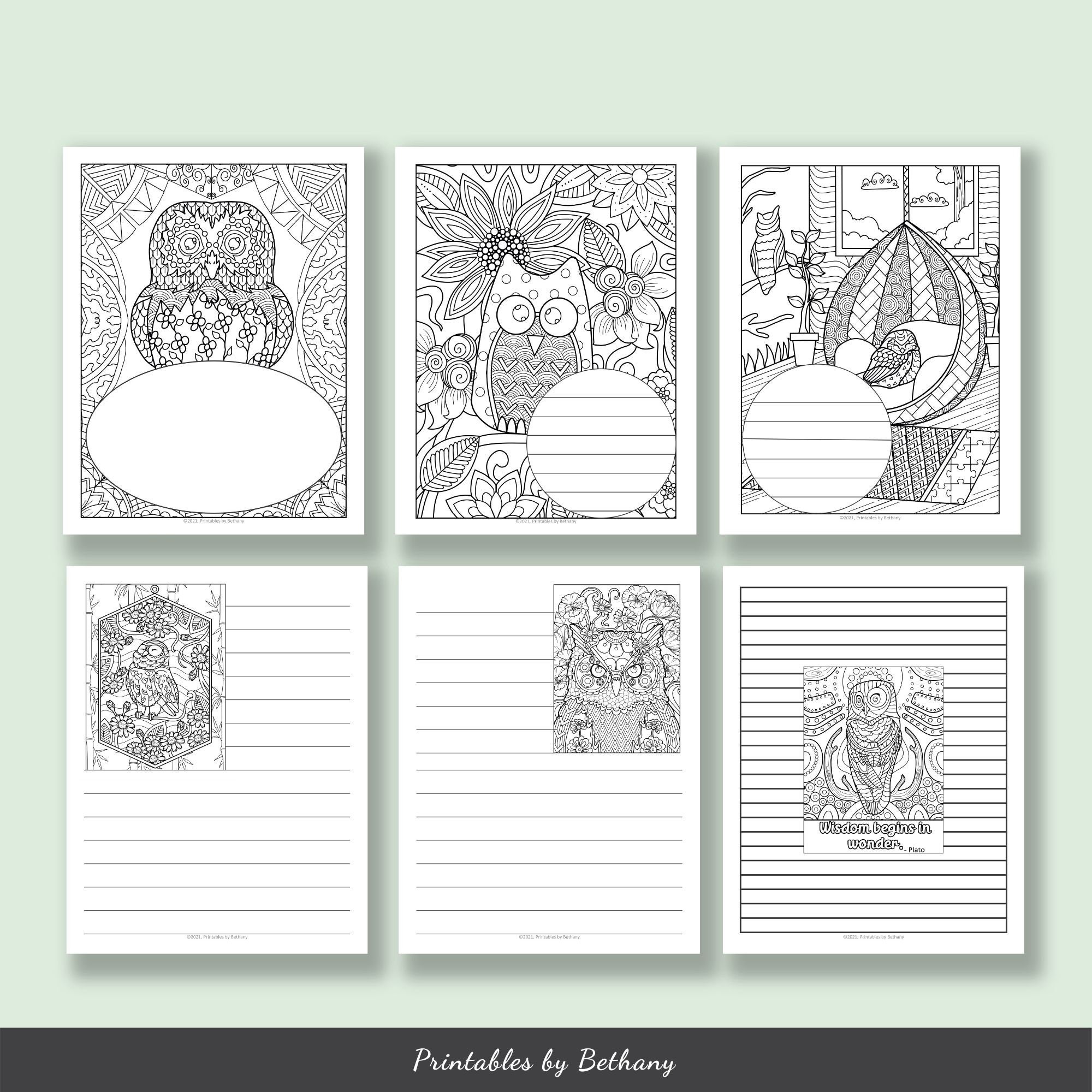 Owl Coloring Pages and Journal for Teens, Kids, and Adults Crafts and ...