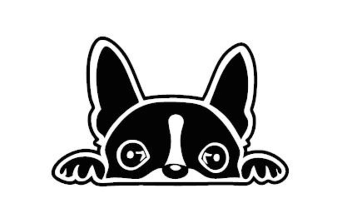 Boston Terrier Peeking Cute Decal Sticker Boston Mom's/dad's Decal 7 ...