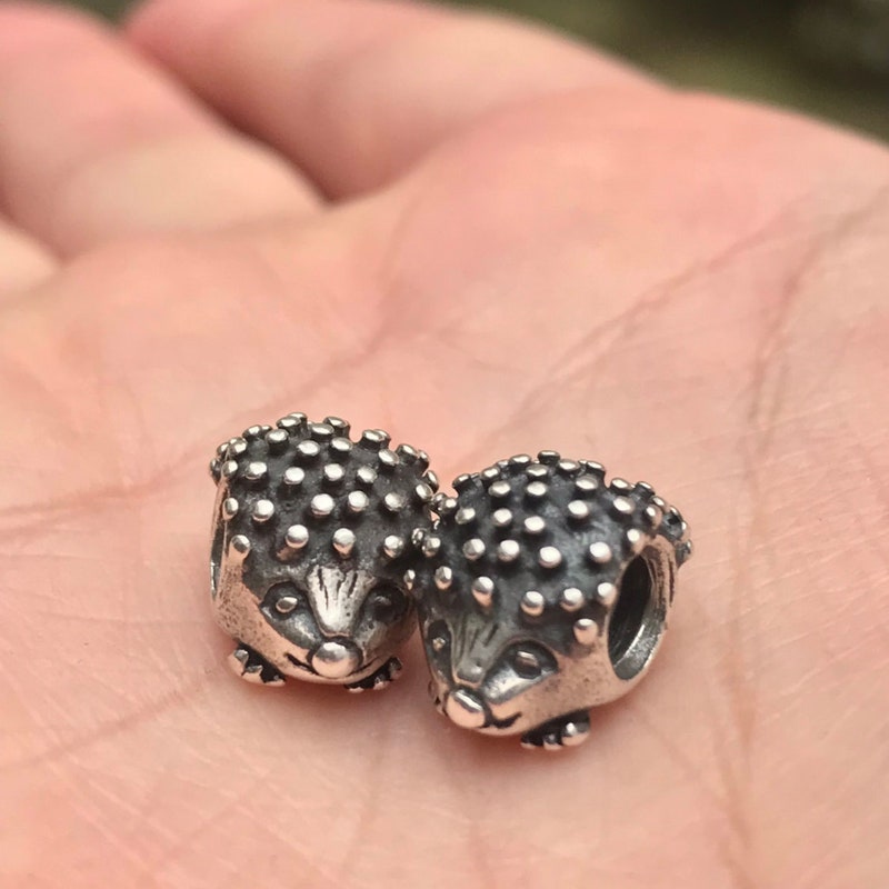 Pandora Charms Authentic Retired - Etsy