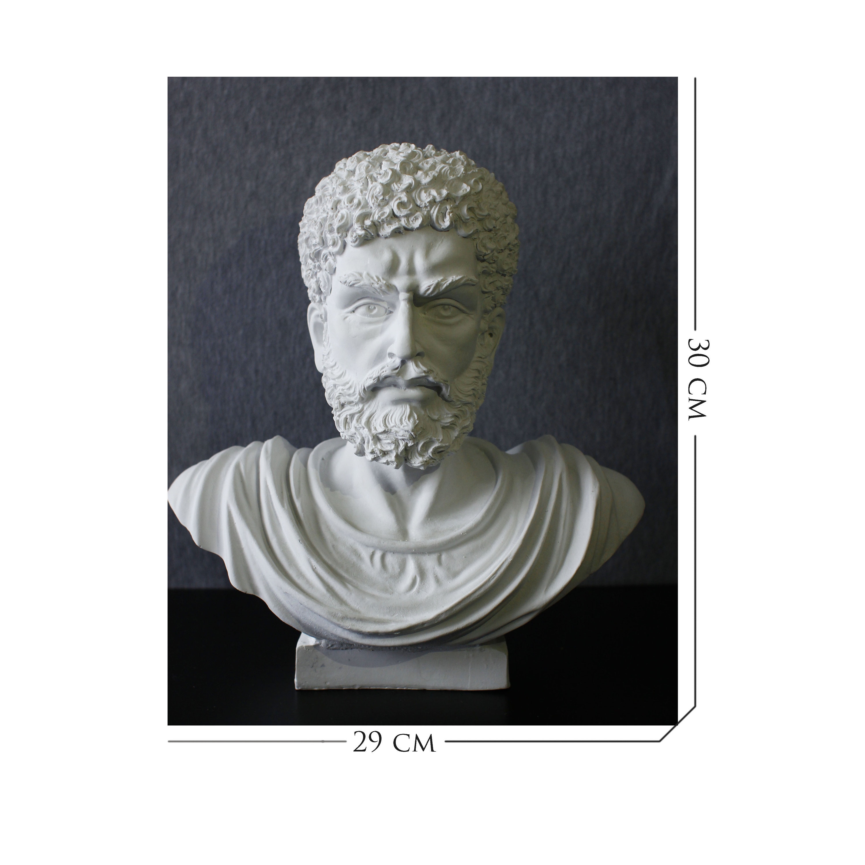 Famous Roman Busts