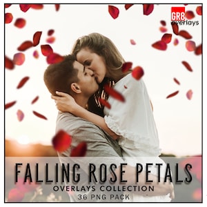 36 Falling ROSE PETALS Overlays, PNG Files, Photoshop Overlay ...