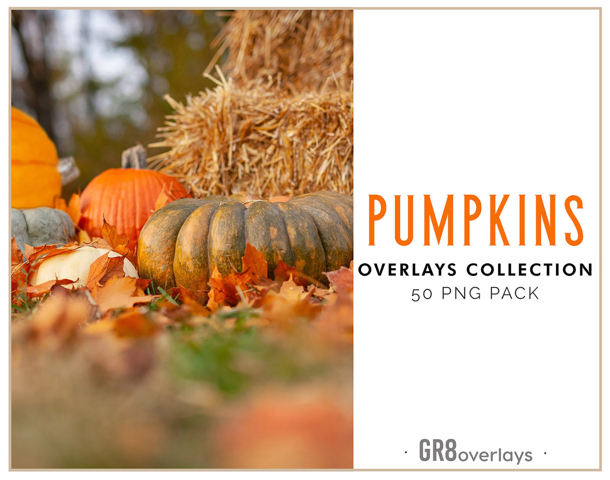 PUMPKINS Overlays Png Photoshop Overlays Photoshop Overlay | Etsy