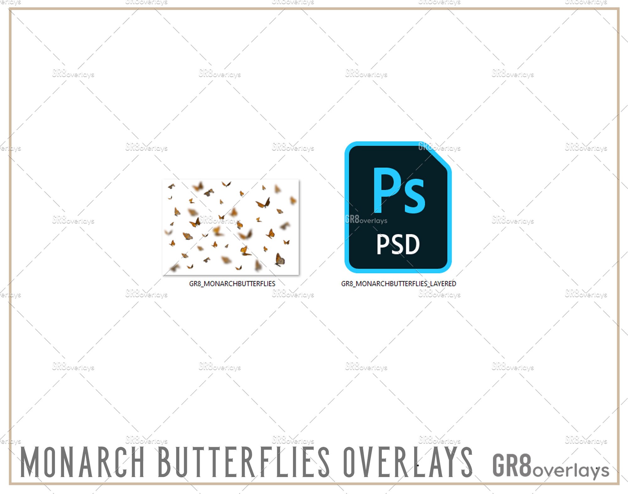MONARCH BUTTERFLIES Overlays Photoshop Overlays PSD Layered - Etsy Canada