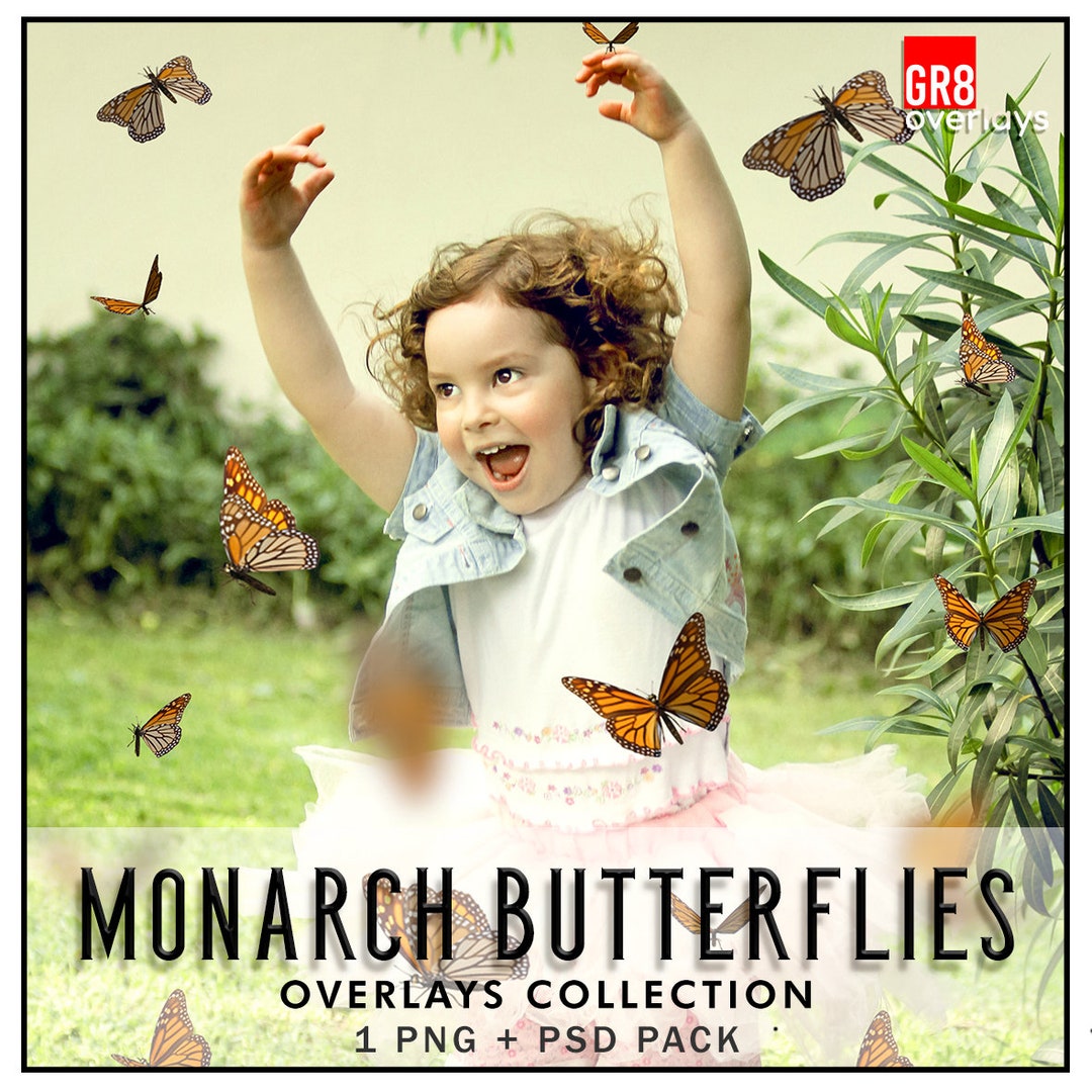 MONARCH BUTTERFLIES Overlays, Photoshop Overlays, PSD Layered File, Png ...