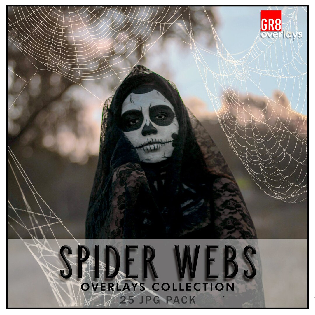 SPIDER WEBS Overlays, PNG, Halloween, Photoshop Overlays, Photoshop ...