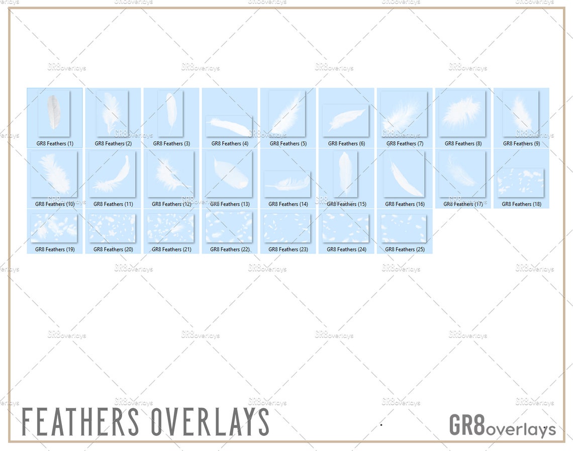 25 FEATHERS, Photoshop Overlays, PNG Files, Photo Overlays, Photoshop ...