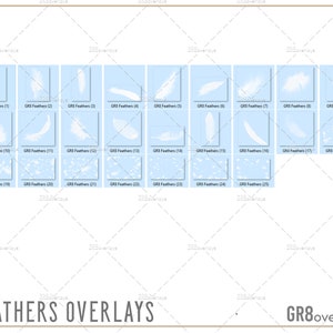 25 FEATHERS, Photoshop Overlays, PNG Files, Photo Overlays, Photoshop ...