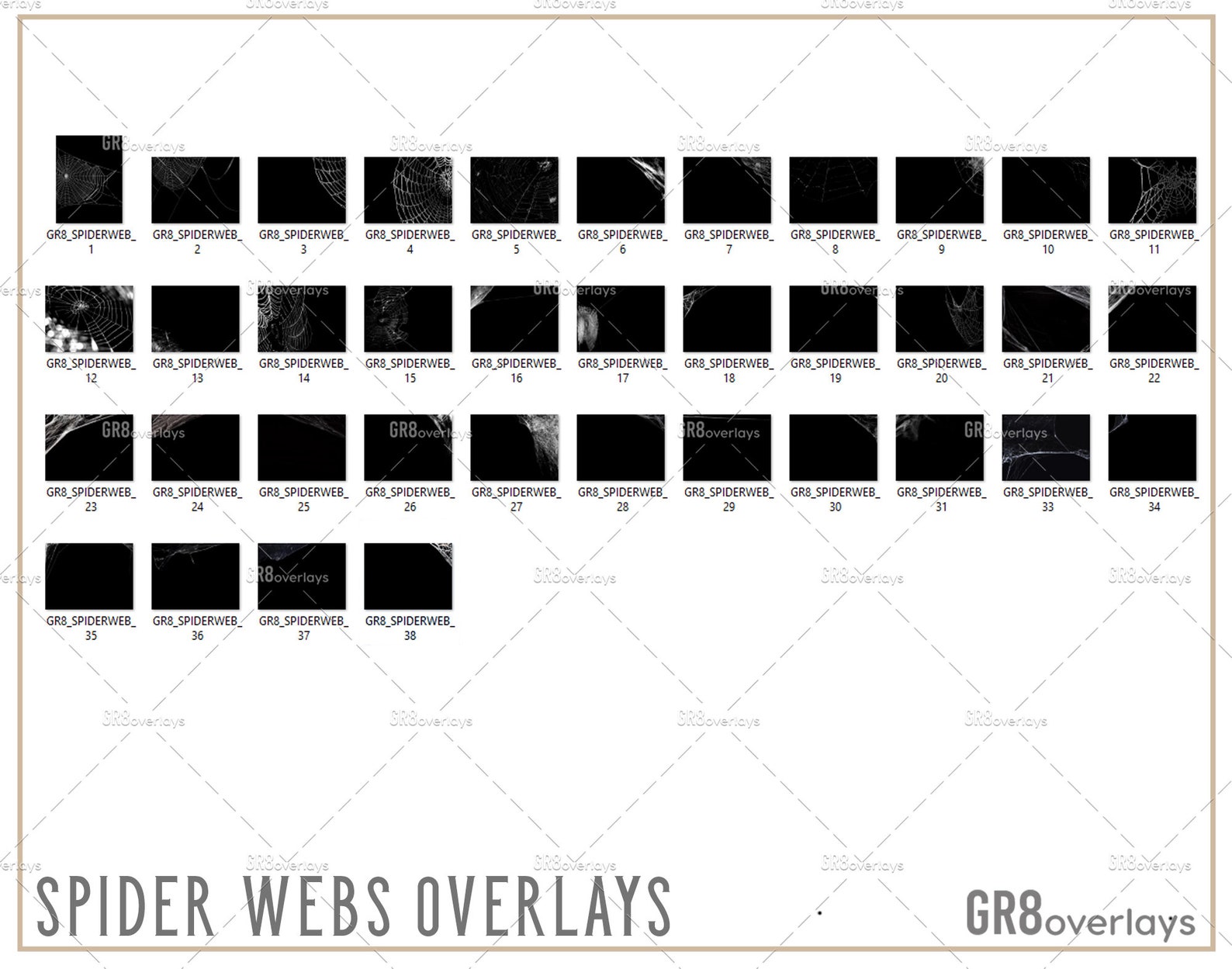 SPIDER WEBS Overlays, PNG, Halloween, Photoshop Overlays, Photoshop ...