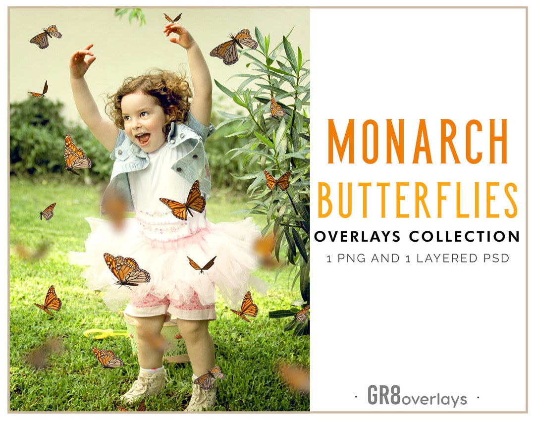 MONARCH BUTTERFLIES Overlays Photoshop Overlays PSD Layered - Etsy