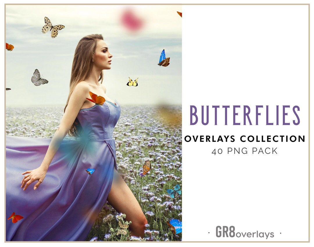 BUTTERFLIES OVERLAYS, PNG, Butterfly, Outdoor Overlays, Photoshop ...