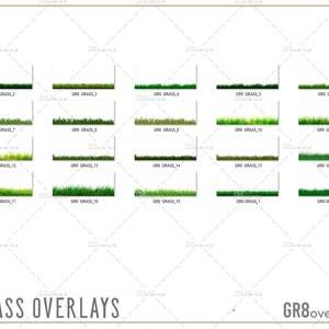 20 GRASS Overlays, Photoshop Overlays, PNG Files, Photo Overlays ...
