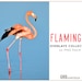 FLAMINGOS OVERLAYS, PNG, Flamingo, Outdoor Overlays, Photoshop Overlays ...