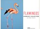 FLAMINGOS OVERLAYS PNG Flamingo Outdoor Overlays Photoshop - Etsy Canada