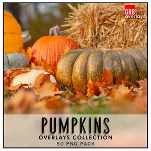 PUMPKINS Overlays, Png, Photoshop Overlays, Photoshop Overlay, Jack O ...