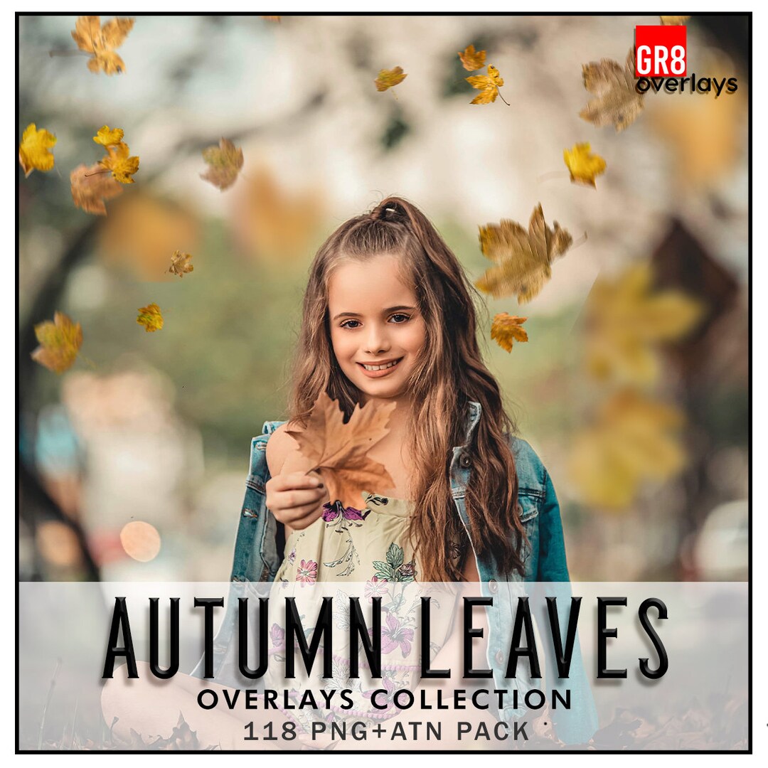118 AUTUMN LEAVES Overlays, Photoshop Overlays, PNG, Falling Leaves ...