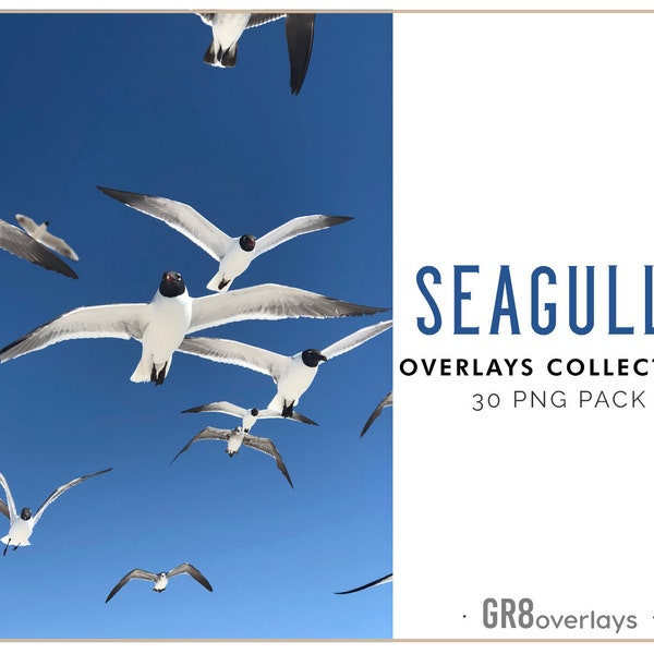 Flying Bird Overlays - Etsy