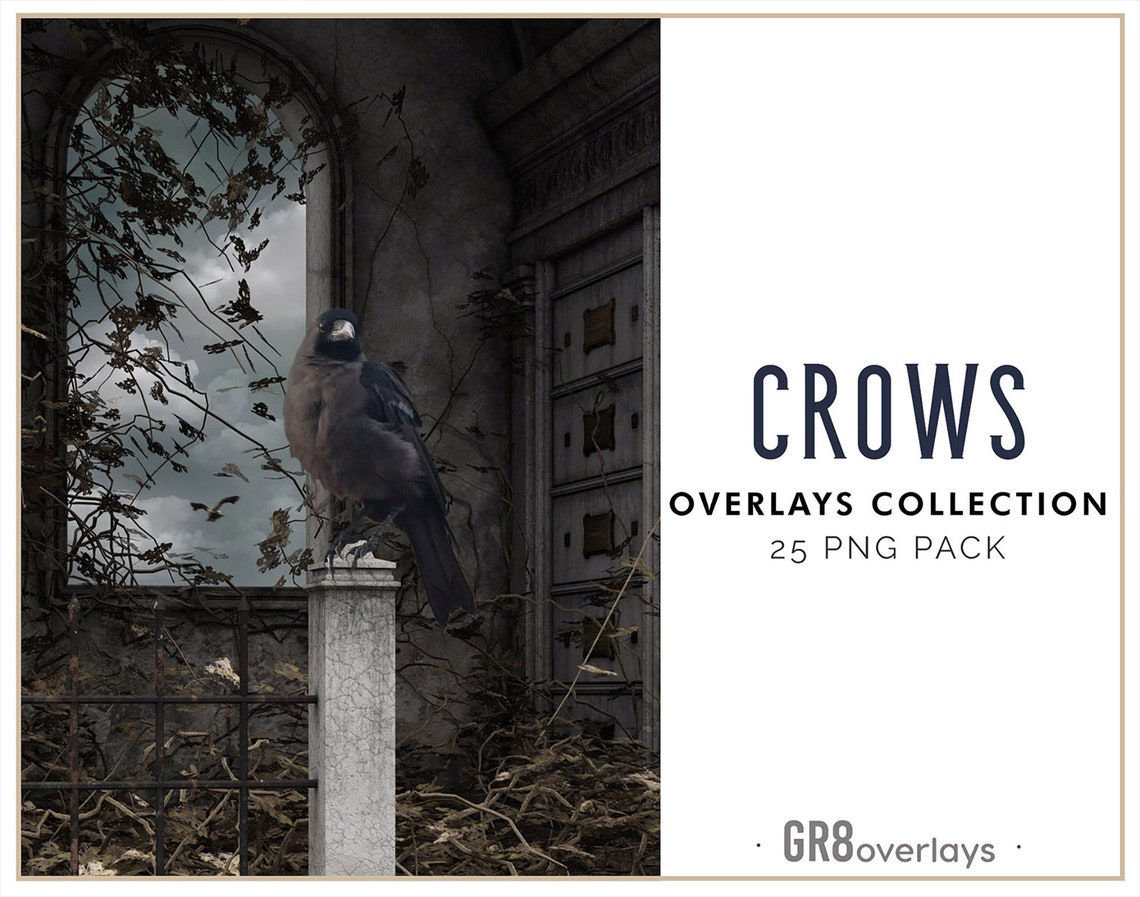 CROWS OVERLAYS PNG Crow Photoshop Overlays Photoshop - Etsy Australia