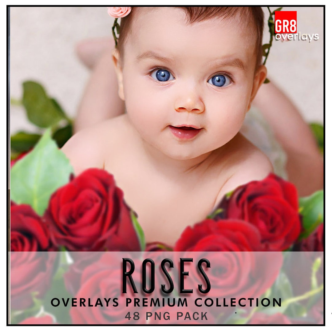 ROSES Overlays, PNG, Flowers, Rose Overlay, Photoshop Overlays ...