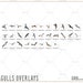 SEAGULLS Overlays, PNG, Seagulls, Outdoor Overlays, Photoshop Overlays ...