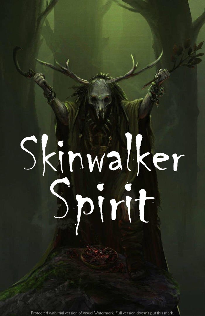 Skinwalker Spirit Adoption - Etsy