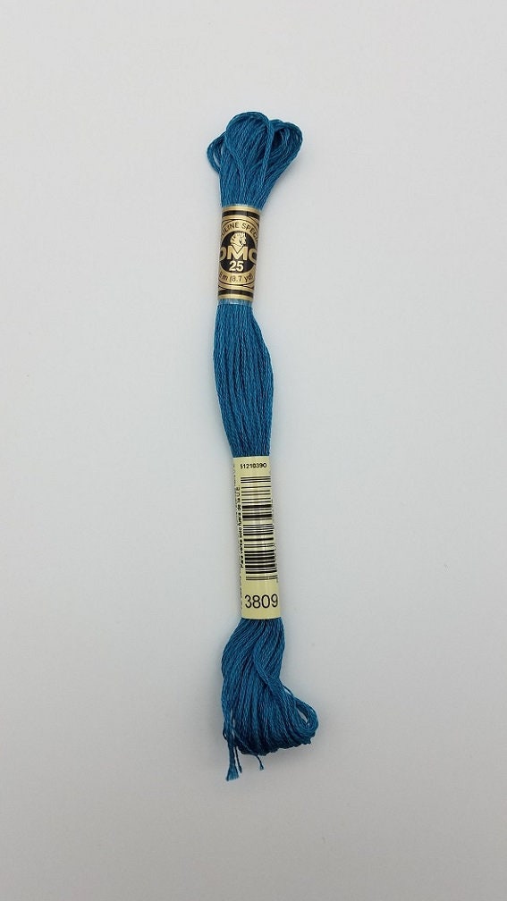 DMC 3809 6-strand Floss Turquoise Very Dark - Etsy