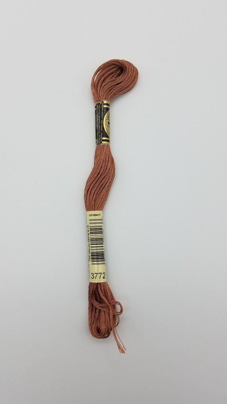 DMC 3772 6-strand Floss Desert Sand Very Dark - Etsy