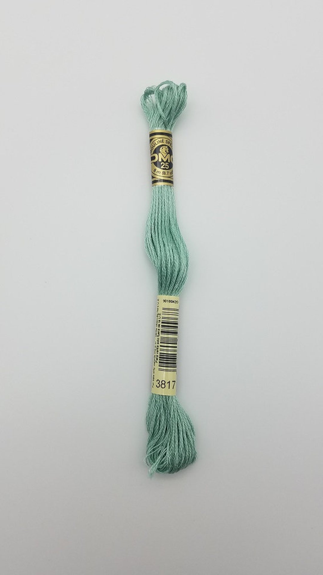 DMC 3817 6-strand Floss Celadon Green Light - Etsy