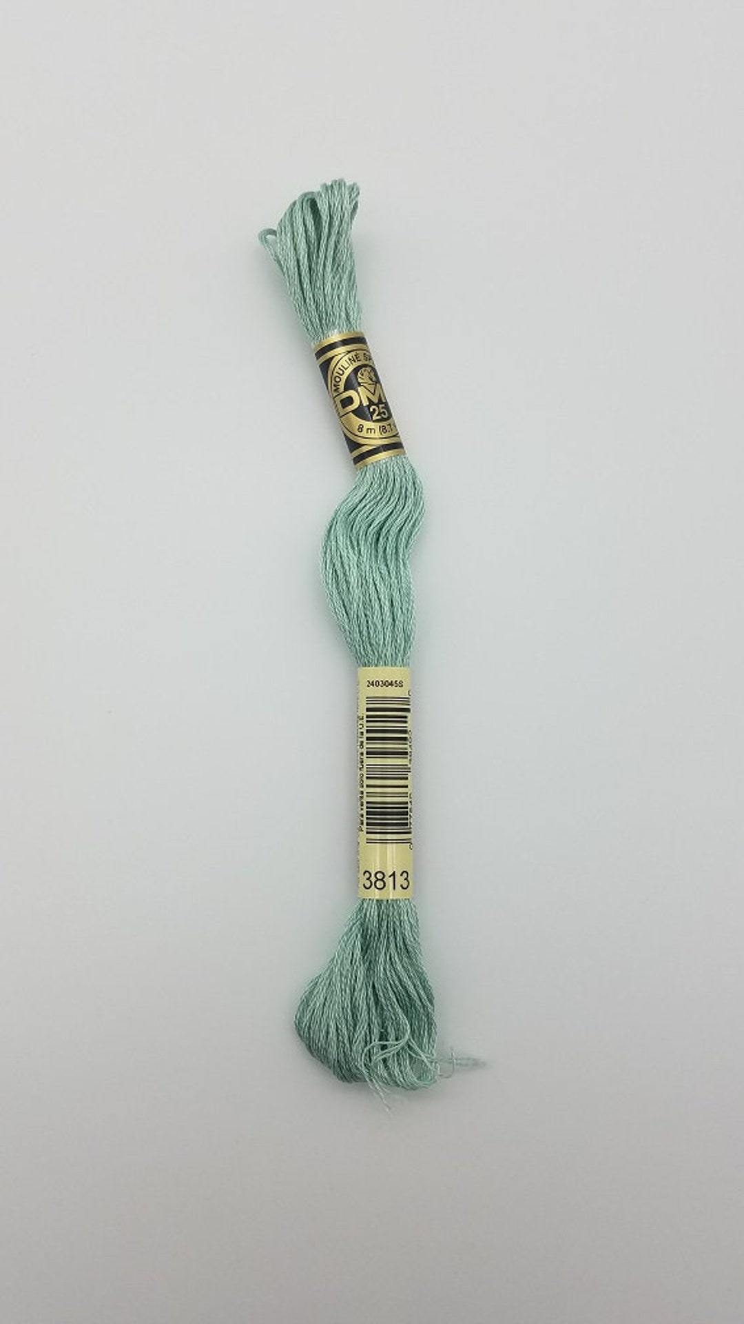 DMC 3813 6-strand Floss Blue Green Light - Etsy