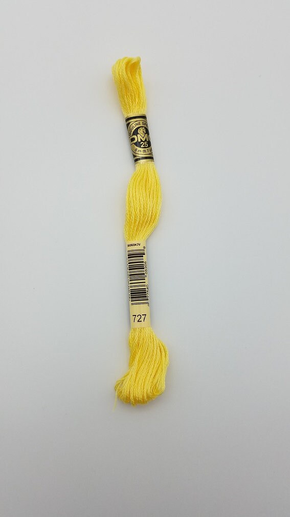 DMC 727 6-strand Floss Topaz Very Light - Etsy