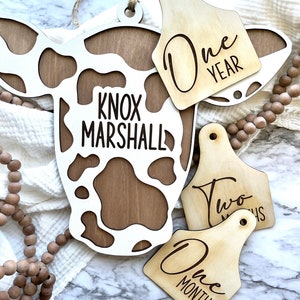 Cow Baby Birth Announcement Sign, Western Nursery Decor, Baby Stats ...