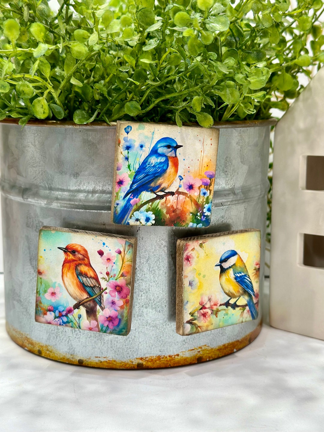 Bird Wood Magnets Set of 3 – Colorful Spring Fridge Decor for Kitchen ...