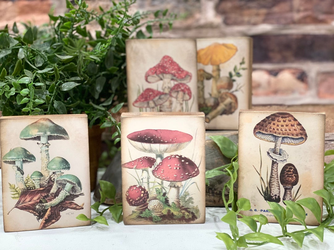 Mushroom Wood Sign, Cottagecore Tiered Tray Decor,rustic Nature-themed ...