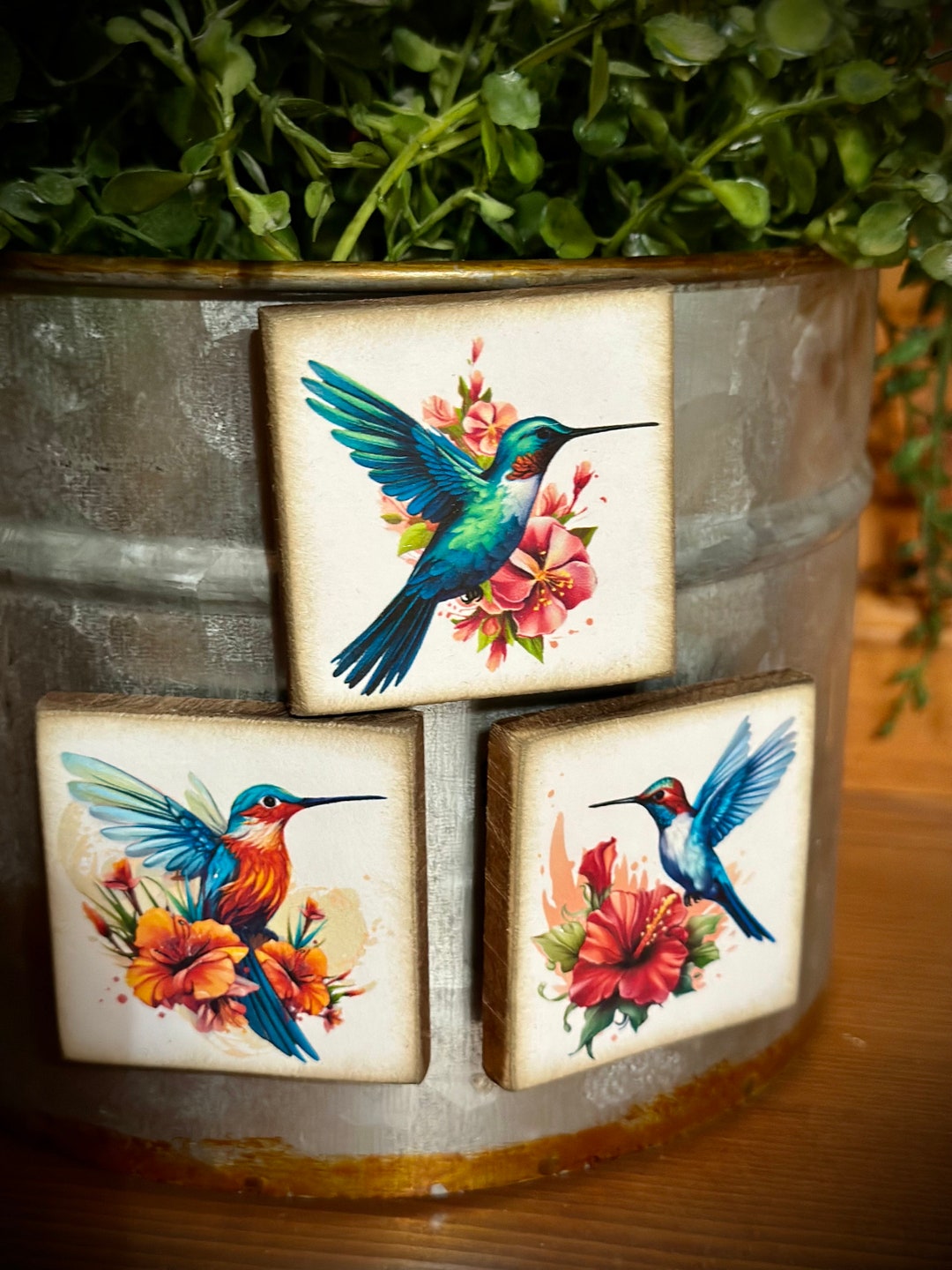 Hummingbird Wood Magnets, Set of 3, Bird Themed Gift,mini Art Magnets ...
