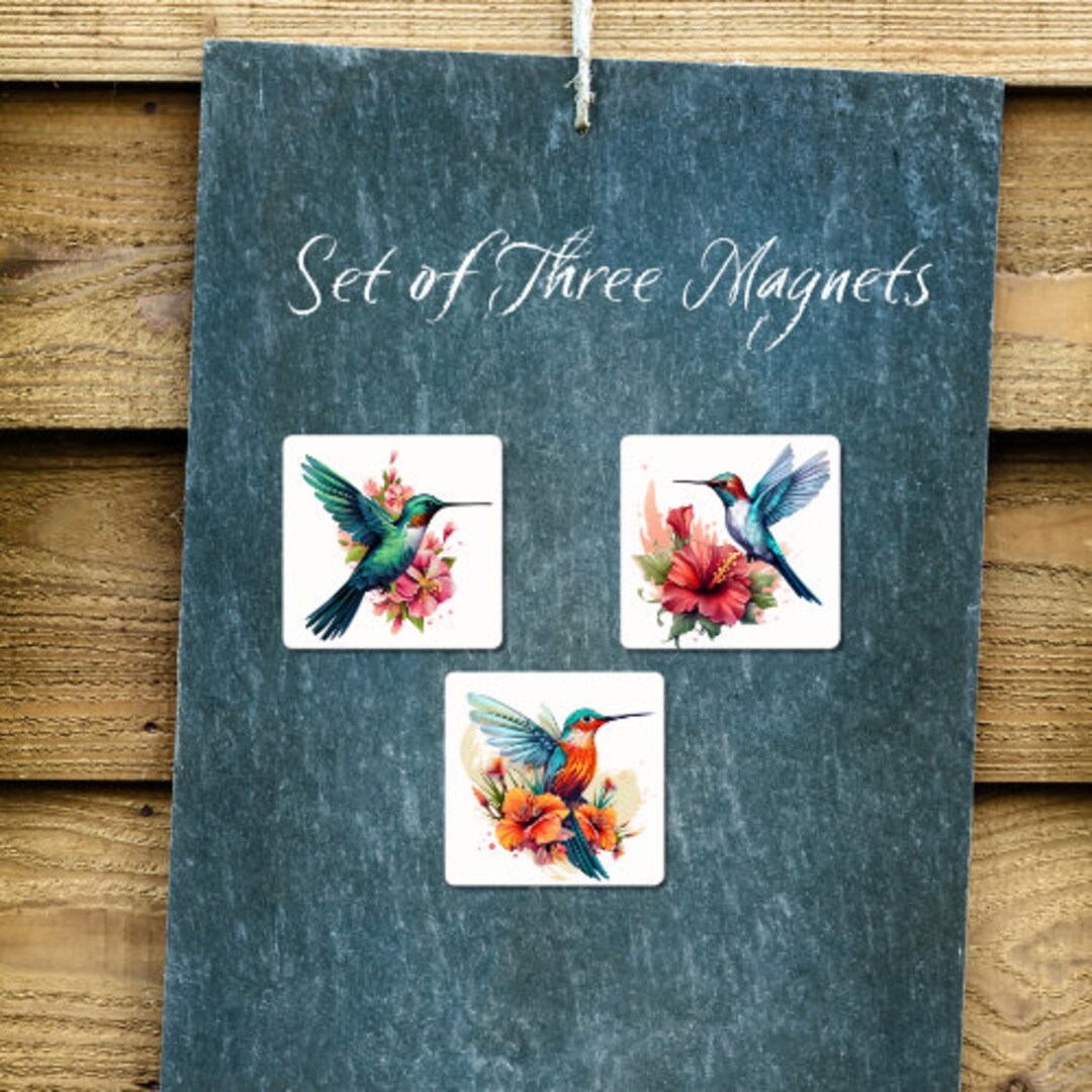 Hummingbird Wood Magnets, Set of 3, Bird Themed Gift,mini Art Magnets ...