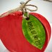 Personalized Rustic Red Apple Teacher Gift, Custom Wooden Apple Decor ...