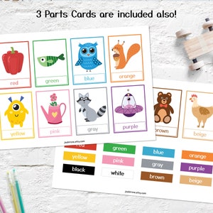 Colors Flashcards Printable PDF, 3 Part Cards, Colors Flash Cards for ...