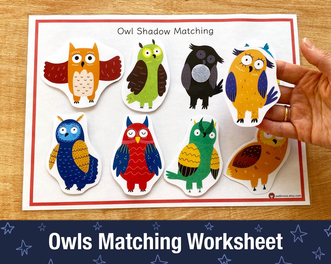 Owls Matching Busy Book Page, Owls Shadow Matching Worksheet for ...