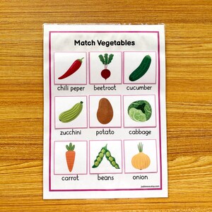Fruits Sorting Busy Book Printable, Fruits and Vegetables Busy Book ...