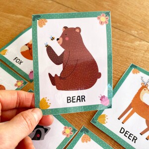 Forest Animals Flashcards Pdf, Woodland Animals Flash Cards Printable ...