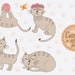 Cat Clipart and Digital Paper Set Png Vector Eps Cute Cats - Etsy
