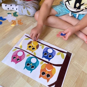 Match the Owl Colors Worksheet, Busy Book Pages, Toddler Busy Book ...