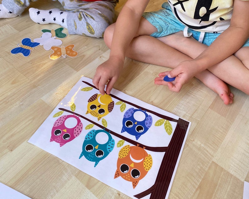 Match the Owl Colors Worksheet Busy Book Pages Toddler Busy | Etsy