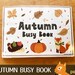 Autumn Busy Book, Halloween Busy Book, Set of 2 Toddler Busy Book ...