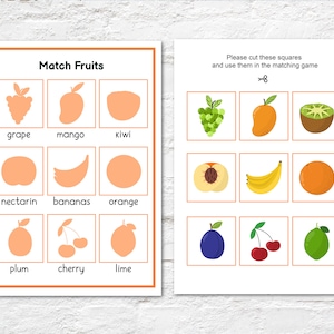 Fruits Sorting Busy Book Printable, Fruits and Vegetables Busy Book ...