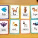 Tracing Words Flash Cards for Kids, Copy the Words, Dry Erase ...