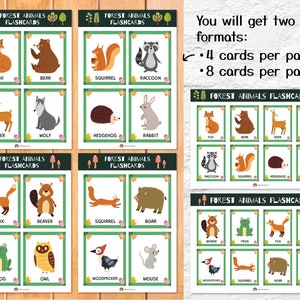Forest Animals Flashcards Pdf, Woodland Animals Flash Cards Printable ...