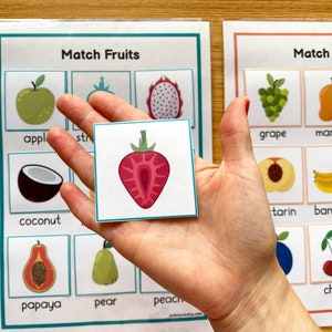 Fruits Sorting Busy Book Printable, Fruits and Vegetables Busy Book ...