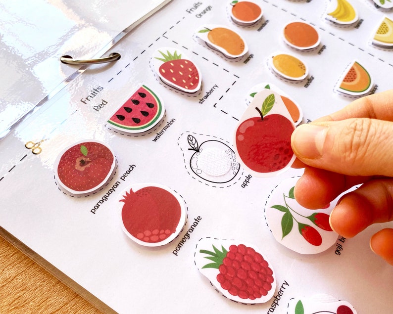 Eating Real Rainbow Worksheet Printable Busy Book Activity - Etsy