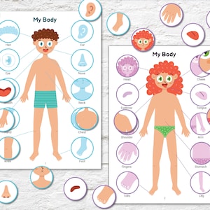 Body Parts Busy Book Printable, Toddler Busy Book, Quiet Book ...