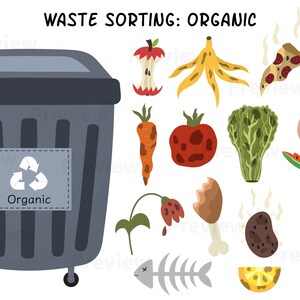 Waste Sorting Clipart, Recycling Trash Graphics, Saving the Planet ...